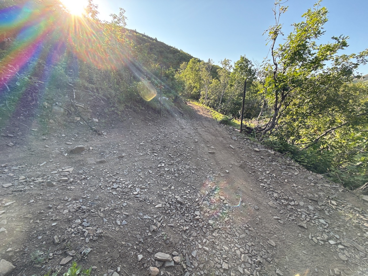 Moose Tracks - mtbnut.com